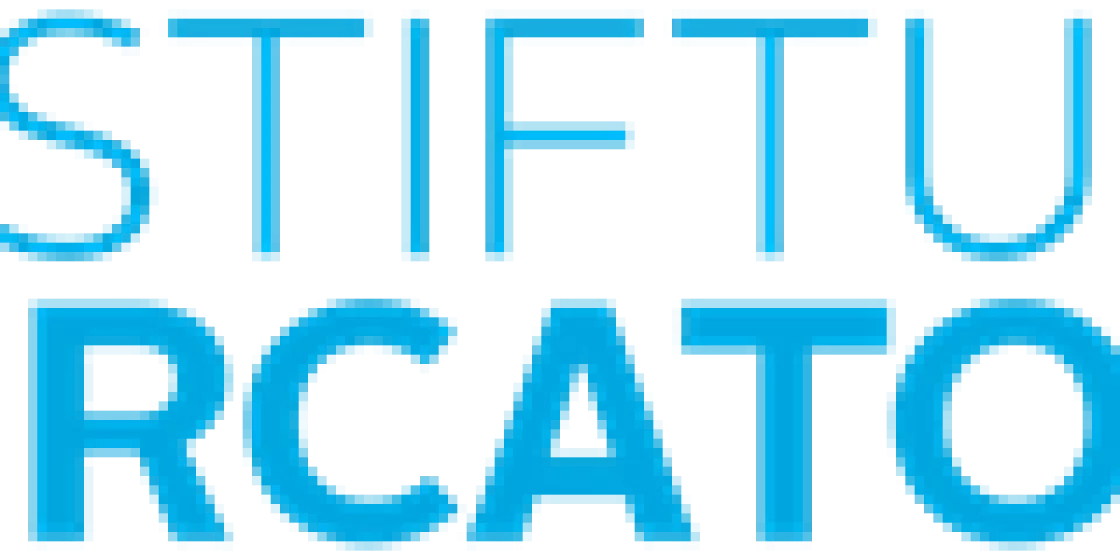 Stiftung Mercator GWD | Germanwatch e.V.