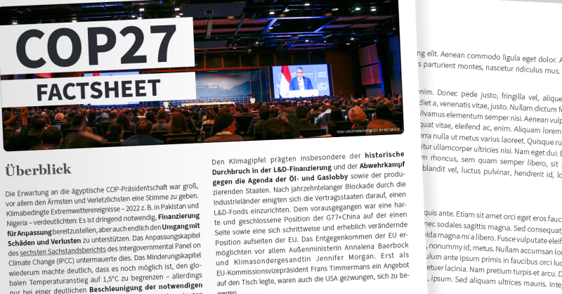 Factsheet zur COP27 | Germanwatch e.V.