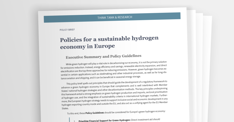 Policies for a sustainable hydrogen economy in Europe | Germanwatch e.V.