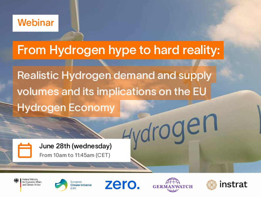 From hydrogen hype to hard reality: realistic hydrogen demand and ...